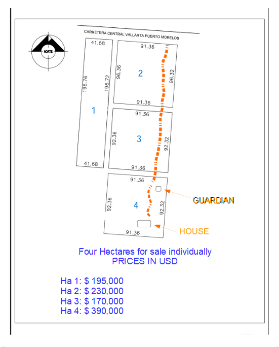 4 HECTARES :: Jungle Hideaway